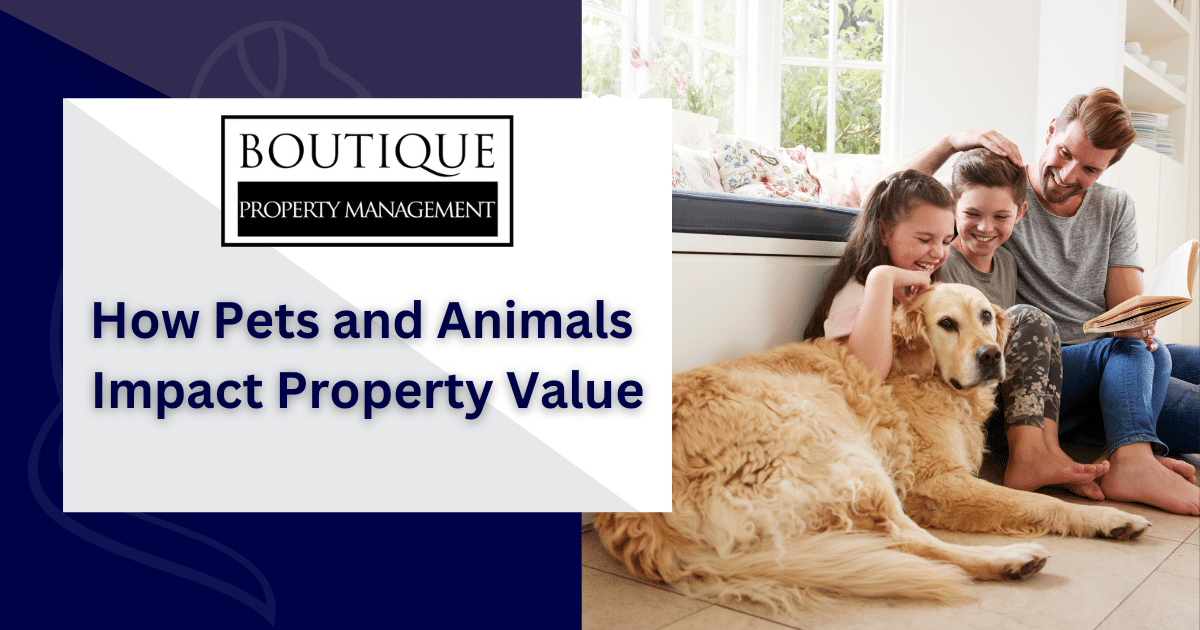How Pets And Animals Impact Property Value | Boutique Property Management